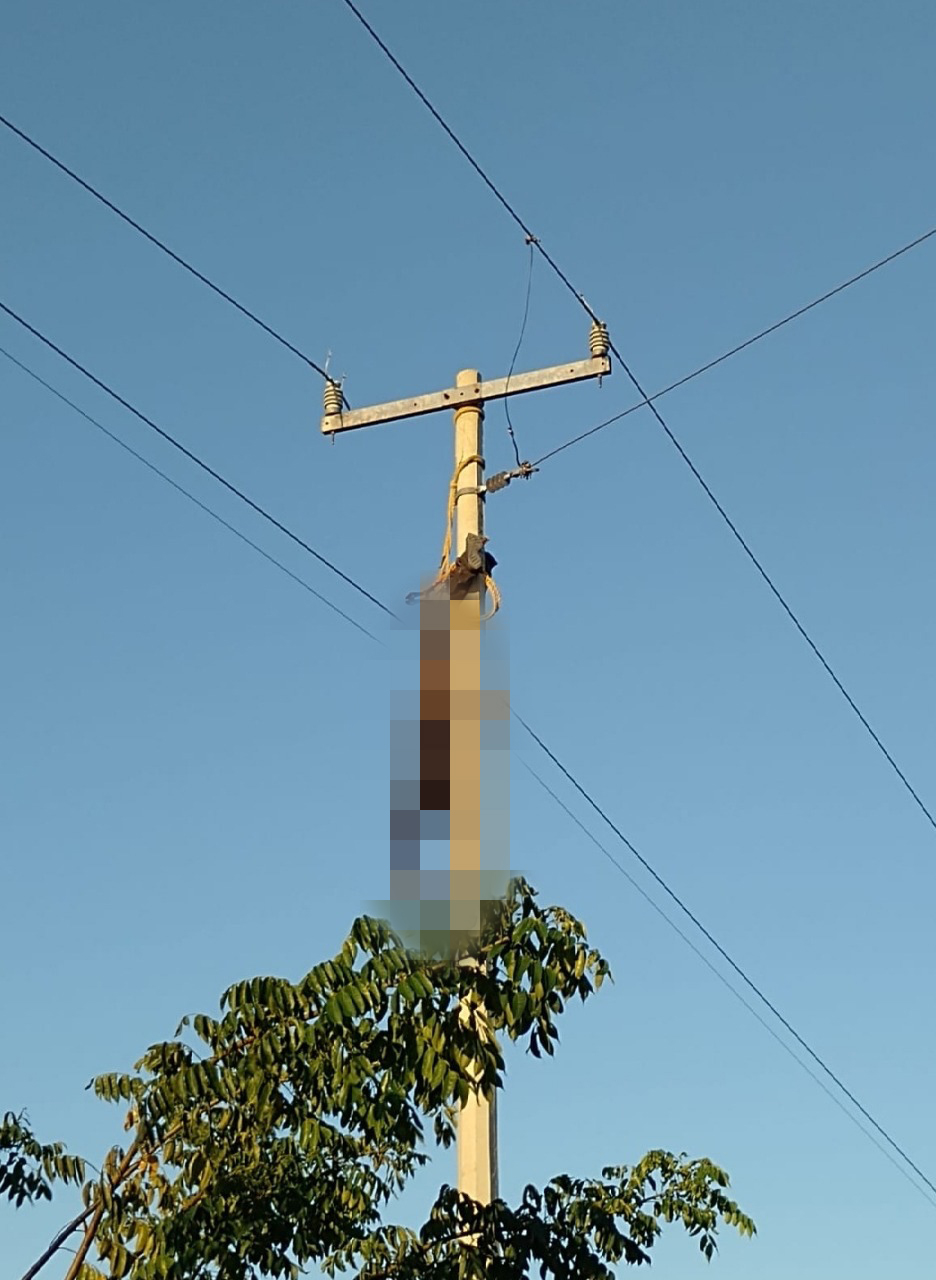 Ratón asado - El criollo